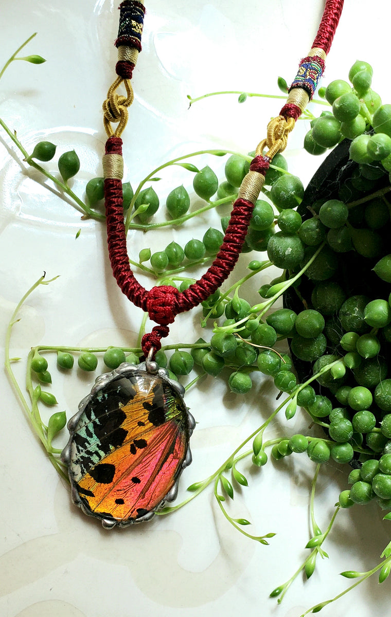 Madagascan Sunset Moth Necklace, Rainbow Moth Necklace – WingsAllure