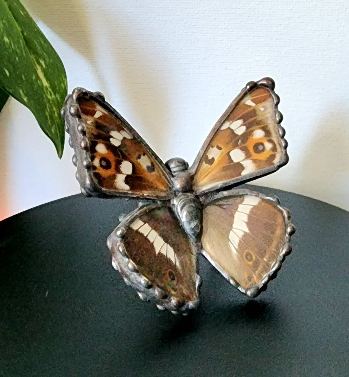 Purple Emperor Butterfly Figurine, Real Butterfly Statue – WingsAllure